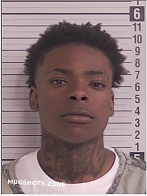 ROSS TYRESE LEE 03/29/2024 - Bay County Mugshots Zone