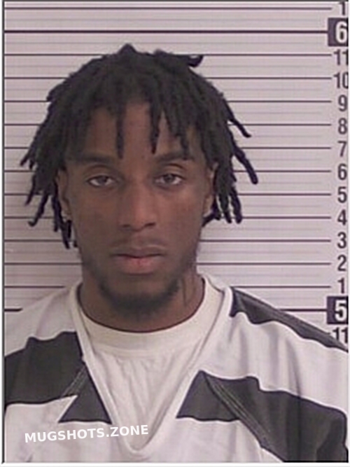 ALSTON JADYN CARTER 03/30/2024 - Bay County Mugshots Zone