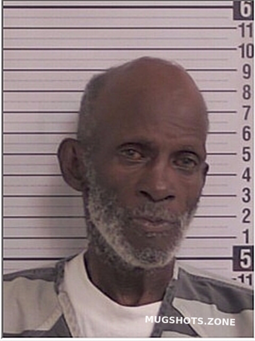 SANDERS DAVID LEE 03/30/2024 - Bay County Mugshots Zone