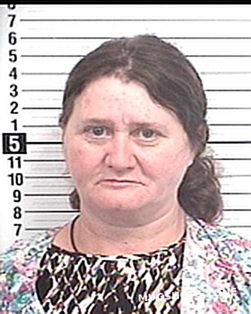 DYE PATSY PRICE 03/31/2024 - Bay County Mugshots Zone