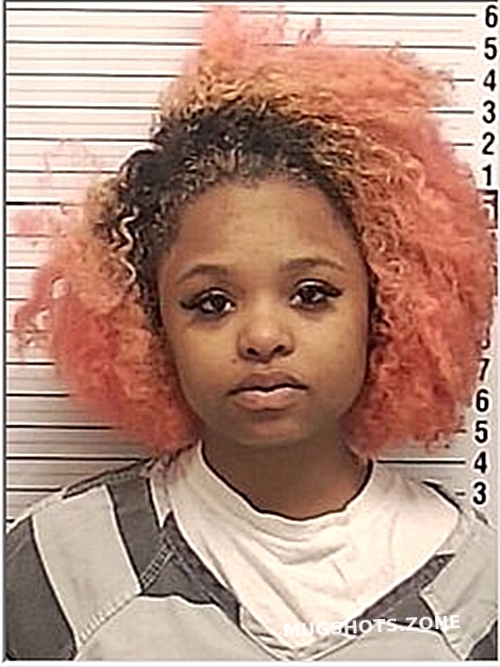 JACKSON AMEERA NICOLE 03/31/2024 - Bay County Mugshots Zone