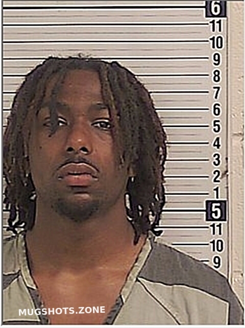 BARNES DEMEITRIUS MARCELL 04/04/2024 - Bay County Mugshots Zone