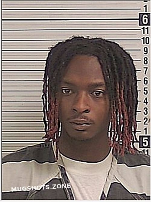 PORTER XANDER KATREAL 04/06/2024 - Bay County Mugshots Zone