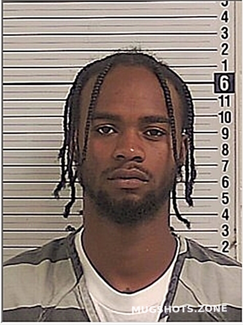 BRANDON BAILEY KYLE 04/06/2024 - Bay County Mugshots Zone