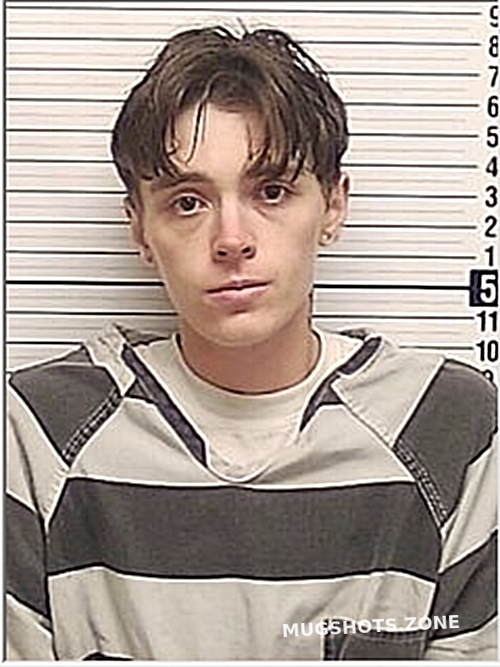 HARTMANN ALYSSA LYNN 04/07/2024 - Bay County Mugshots Zone