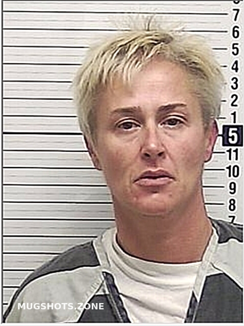 ALLEN AMANDA RENEE 04/08/2024 - Bay County Mugshots Zone