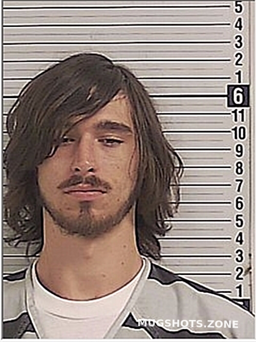 LYONS RICKY AUSTON III 04/11/2024 - Bay County Mugshots Zone