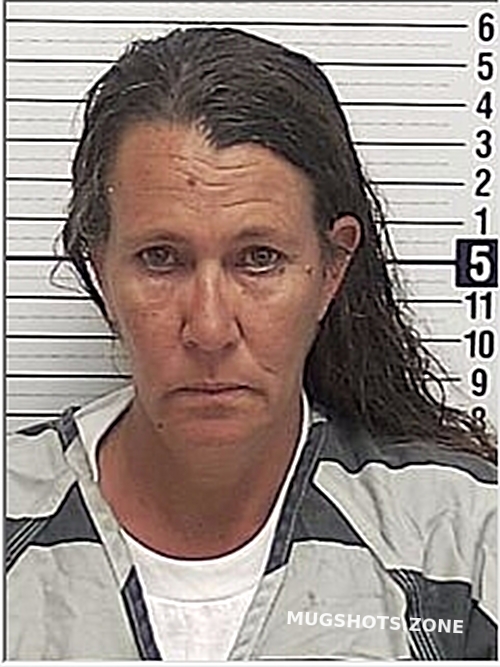 BEITEL RENEE LYNNE 04/11/2024 - Bay County Mugshots Zone