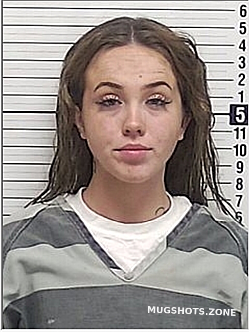 DAVIS DEVAN LEE 04/24/2024 - Bay County Mugshots Zone