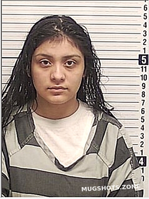 MENDEZ-LOPEZ NATALIE NAILYN 04/28/2024 - Bay County Mugshots Zone