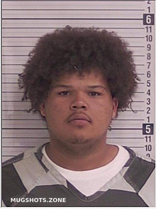 CHAMBERLAIN ELIJAH WILLIAM 05/01/2024 - Bay County Mugshots Zone