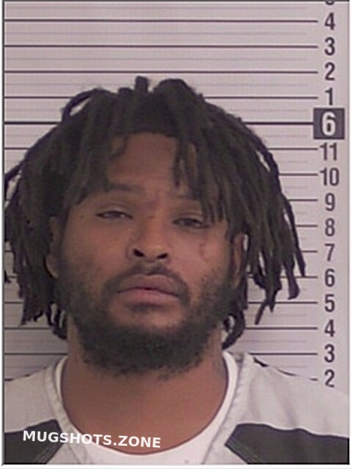 REDDICE LARAYON JOSEPH MARQUES 05/10/2024 - Bay County Mugshots Zone