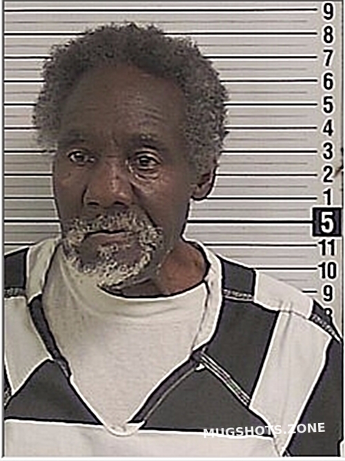 LEWIS GEORGE 05/16/2024 - Bay County Mugshots Zone