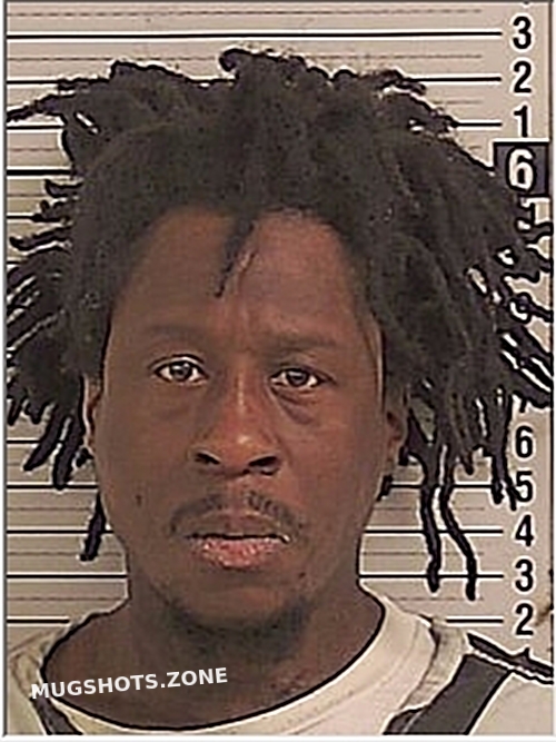 HARDISON CHRISTOPHER MICHAEL 05/28/2024 - Bay County Mugshots Zone