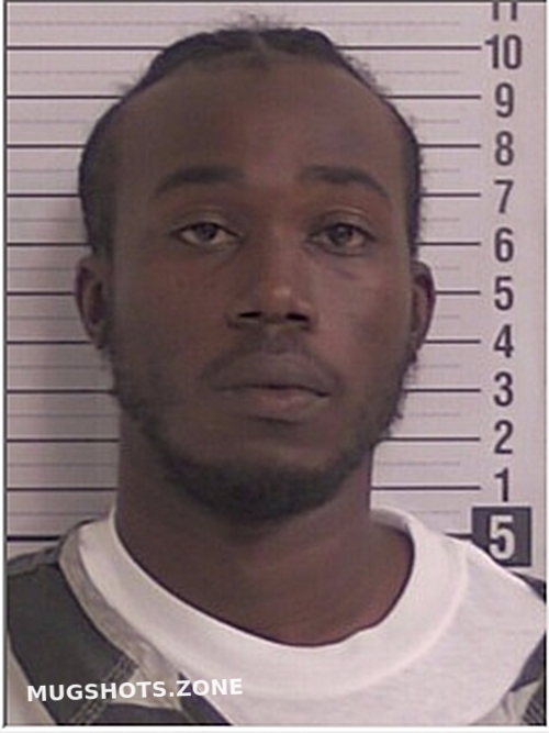 WRIGHT ALDNE 05/30/2024 - Bay County Mugshots Zone