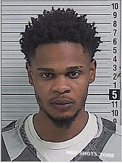 RICKETTS LIANDRE GOMAR 06/05/2024 - Bay County Mugshots Zone