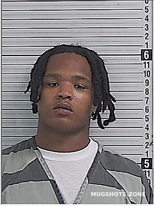 SWANN KEYLAN TYLER 06/06/2024 - Bay County Mugshots Zone