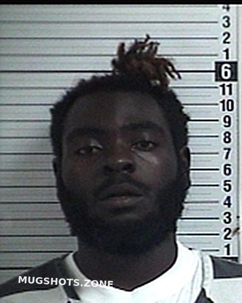 STEELE JOSHUA KEITH 06/06/2024 - Bay County Mugshots Zone