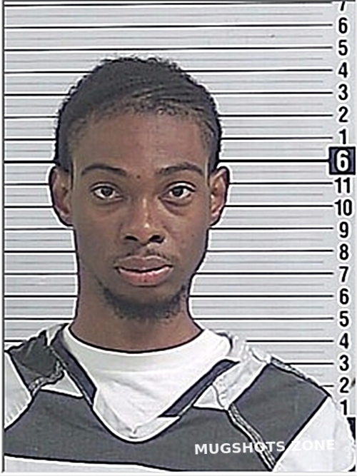 DAVIS TRAVIS ALEX 06/09/2024 - Bay County Mugshots Zone