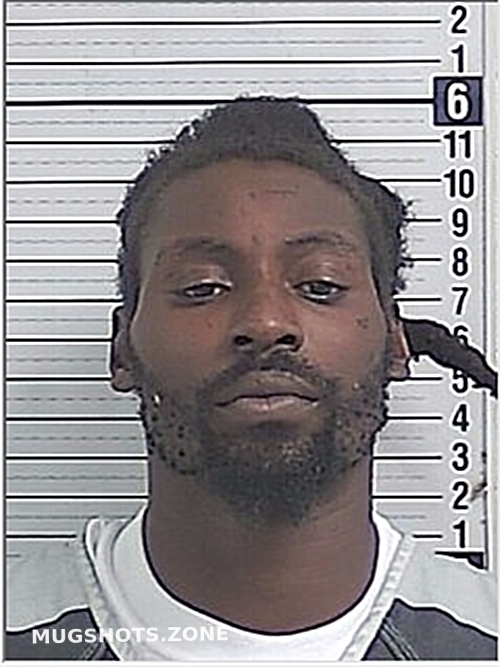 HOLMES TEVIN JAKIEL 06/12/2024 - Bay County Mugshots Zone