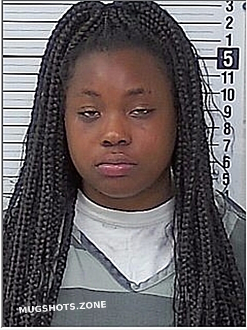 HARRIS DESTINY 06/17/2024 - Bay County Mugshots Zone