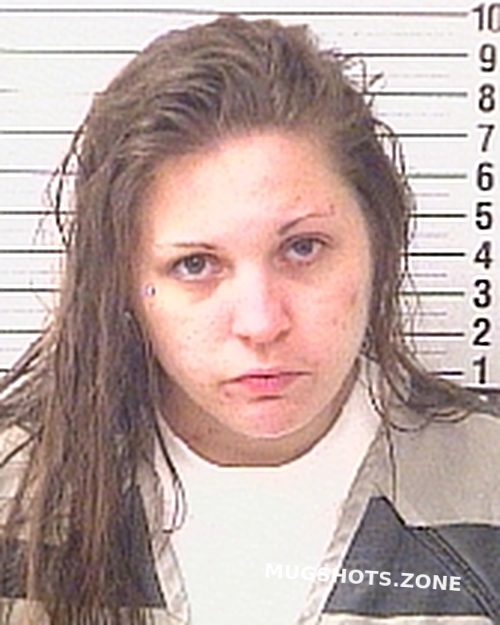 HILL EMILY RENE RITCHIE 06/21/2024 - Bay County Mugshots Zone