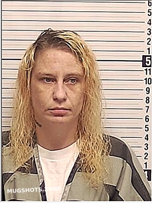 CONROY DIAMOND NICOLE 06/22/2024 - Bay County Mugshots Zone