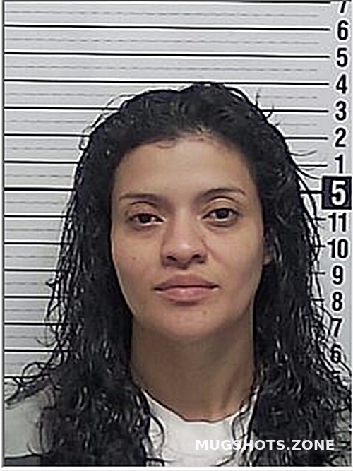 REYES BRENDA 07/05/2024 - Bay County Mugshots Zone
