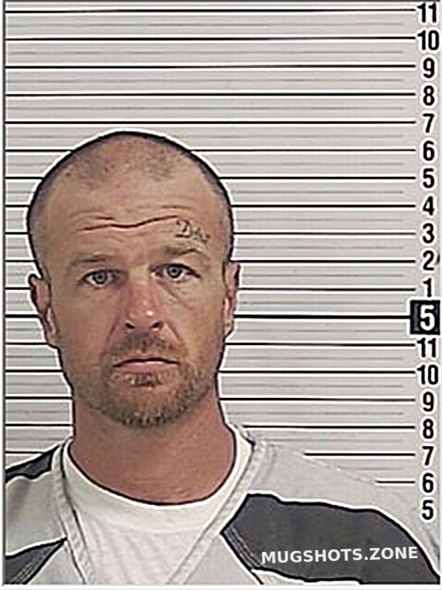SEAL MICHAEL STUART 07/07/2024 - Bay County Mugshots Zone