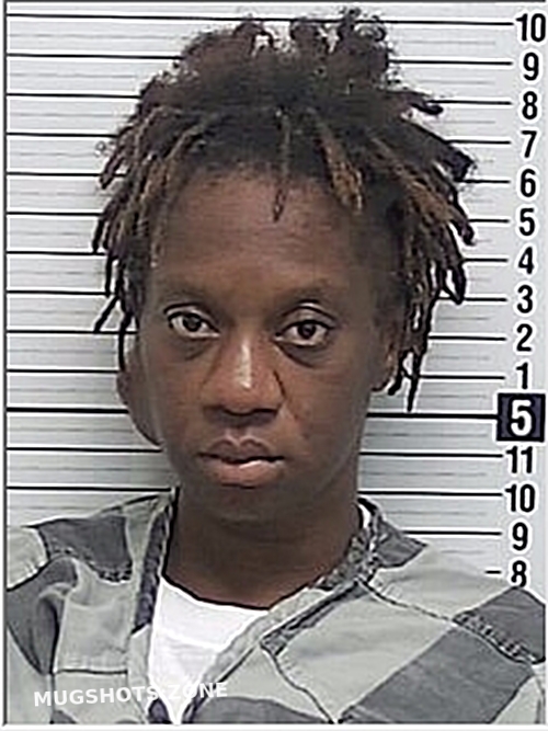BROWN LAKISHA JENICE 07/08/2024 - Bay County Mugshots Zone