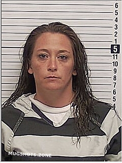 PHILLIPS BRANDY RENEE 07/10/2024 - Bay County Mugshots Zone
