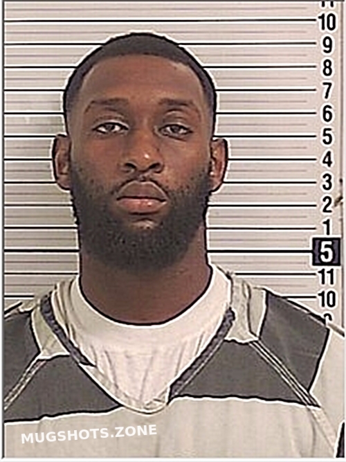 YOUNG ANDREW CORNELIUS 07/11/2024 - Bay County Mugshots Zone