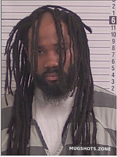 WILLIAMS DARCELL DEVON 07/12/2024 - Bay County Mugshots Zone