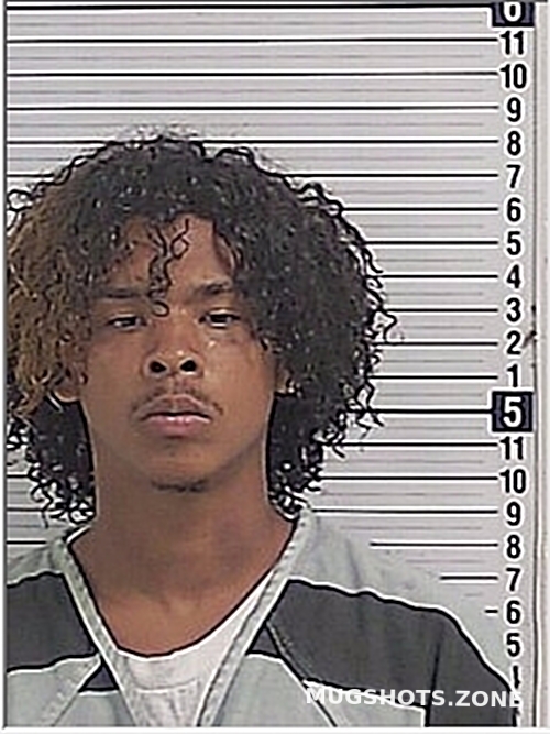 EVANS JAIDEN ONIAH 07/13/2024 - Bay County Mugshots Zone