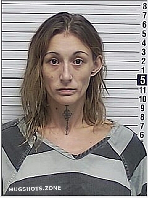 HUGHES NATASHA ANN 07/16/2024 - Bay County Mugshots Zone