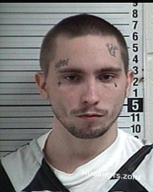 SMITH CAMERON ANDREW ALAN 07/22/2024 - Bay County Mugshots Zone