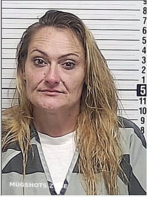 STAATS BRANDI LEIGH 07/23/2024 - Bay County Mugshots Zone
