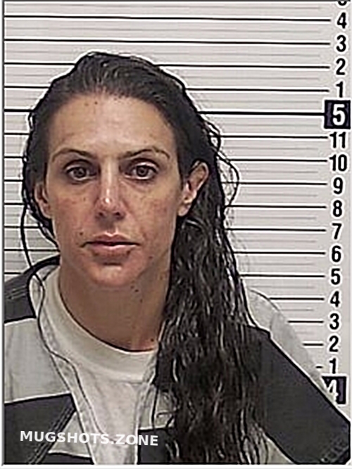 FIORAVANI LISA MARIE 07/26/2024 - Bay County Mugshots Zone