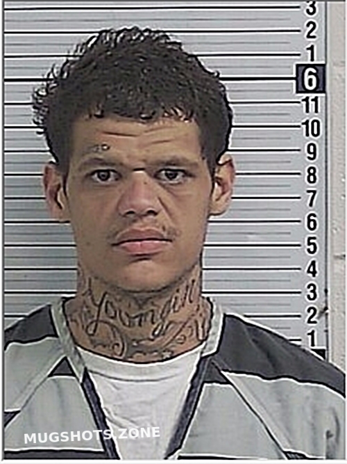 VANDUYN DEVONTE ANTHONY 07/28/2024 - Bay County Mugshots Zone