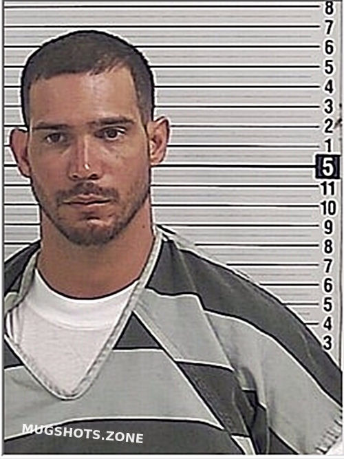 TORRES-VAREA JORDAN 08/04/2024 - Bay County Mugshots Zone