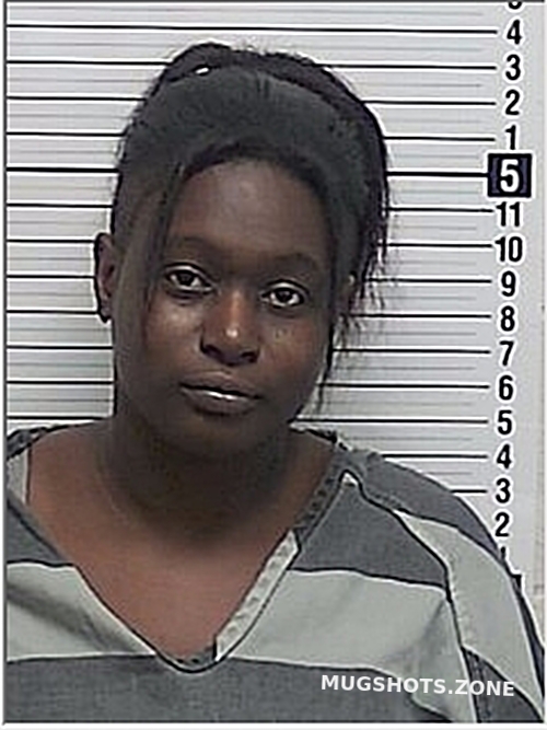 EVANS LABRIA ZHANE 08/04/2024 - Bay County Mugshots Zone