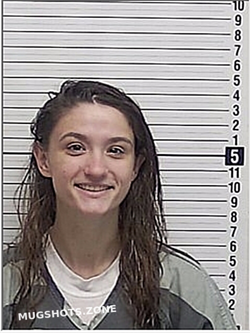 AYRES DENISE FRANCES 08/10/2024 - Bay County Mugshots Zone