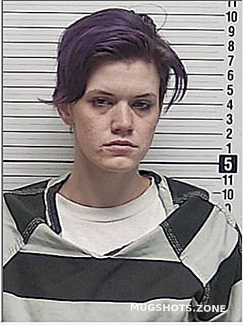 PILKINTON EMILY MAVLE 08/10/2024 - Bay County Mugshots Zone