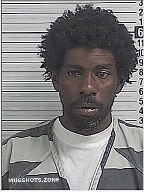 WARREN CEDDRICK JAMAR 08/10/2024 - Bay County Mugshots Zone