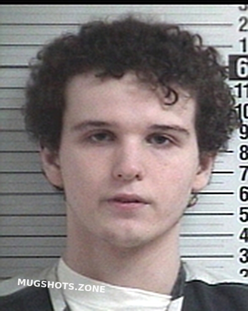DAVIS LUKE OLIVER 08/14/2024 - Bay County Mugshots Zone