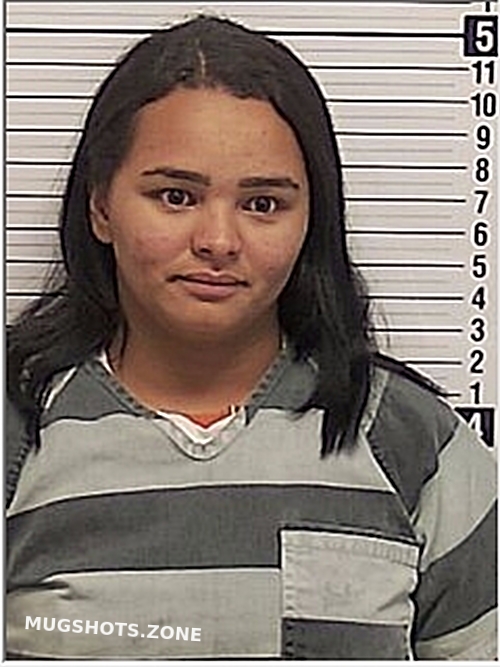 COSTA-FRIETAS CARLA CHRISTINA 08/16/2024 - Bay County Mugshots Zone