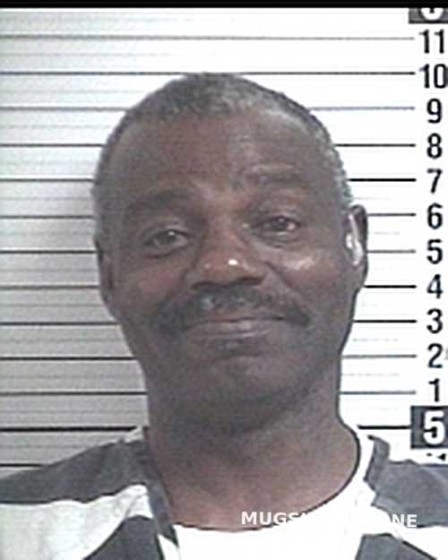 JENKINS DONALD LEE 08/17/2024 - Bay County Mugshots Zone