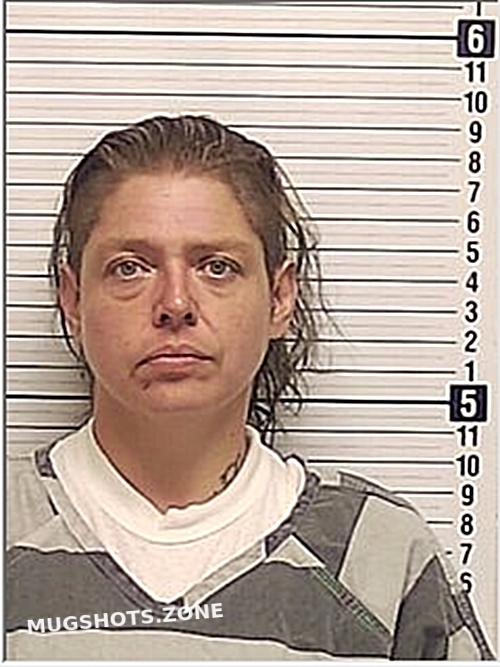 FRITTS AMANDA FAYE 08/21/2024 - Bay County Mugshots Zone