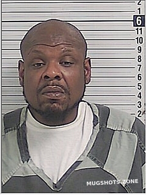 GRIFFIN PURCELL DION 08/24/2024 - Bay County Mugshots Zone