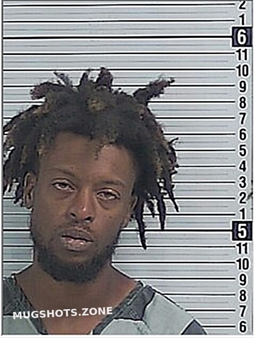 THORNHILL TYLER RYAN AVERY 08/24/2024 - Bay County Mugshots Zone